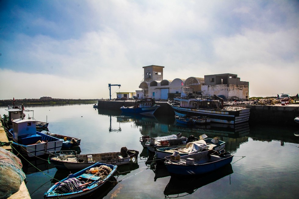 Port de pêche de Zarat : urgence de réhabilitation