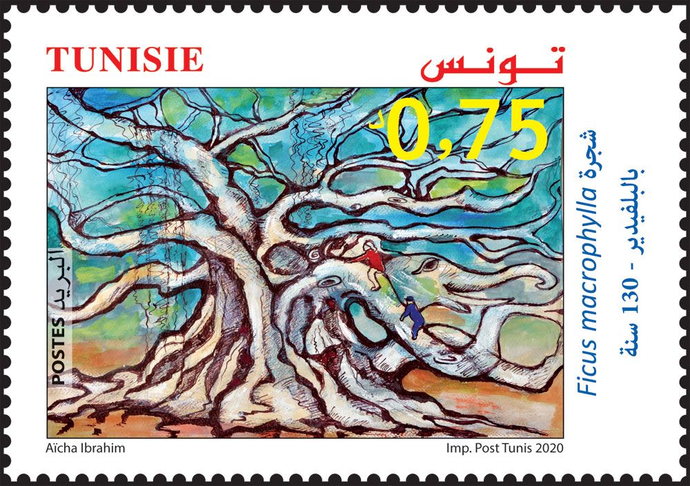 Poste Tunisienne : émission d'un timbre-poste pour valoriser le vieil arbre