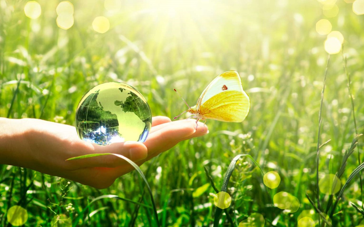 Tunisie : une structure dédiée à la transition écologique