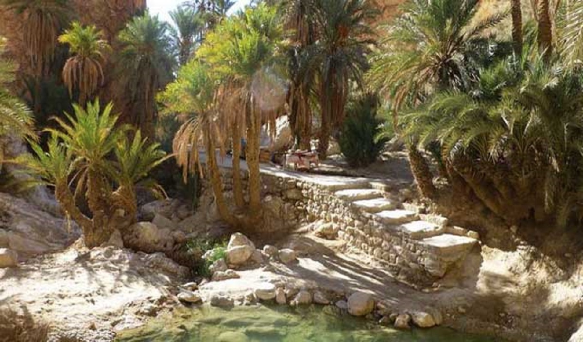 Appel du président de l'URAP pour sauver les oasis de Gabès