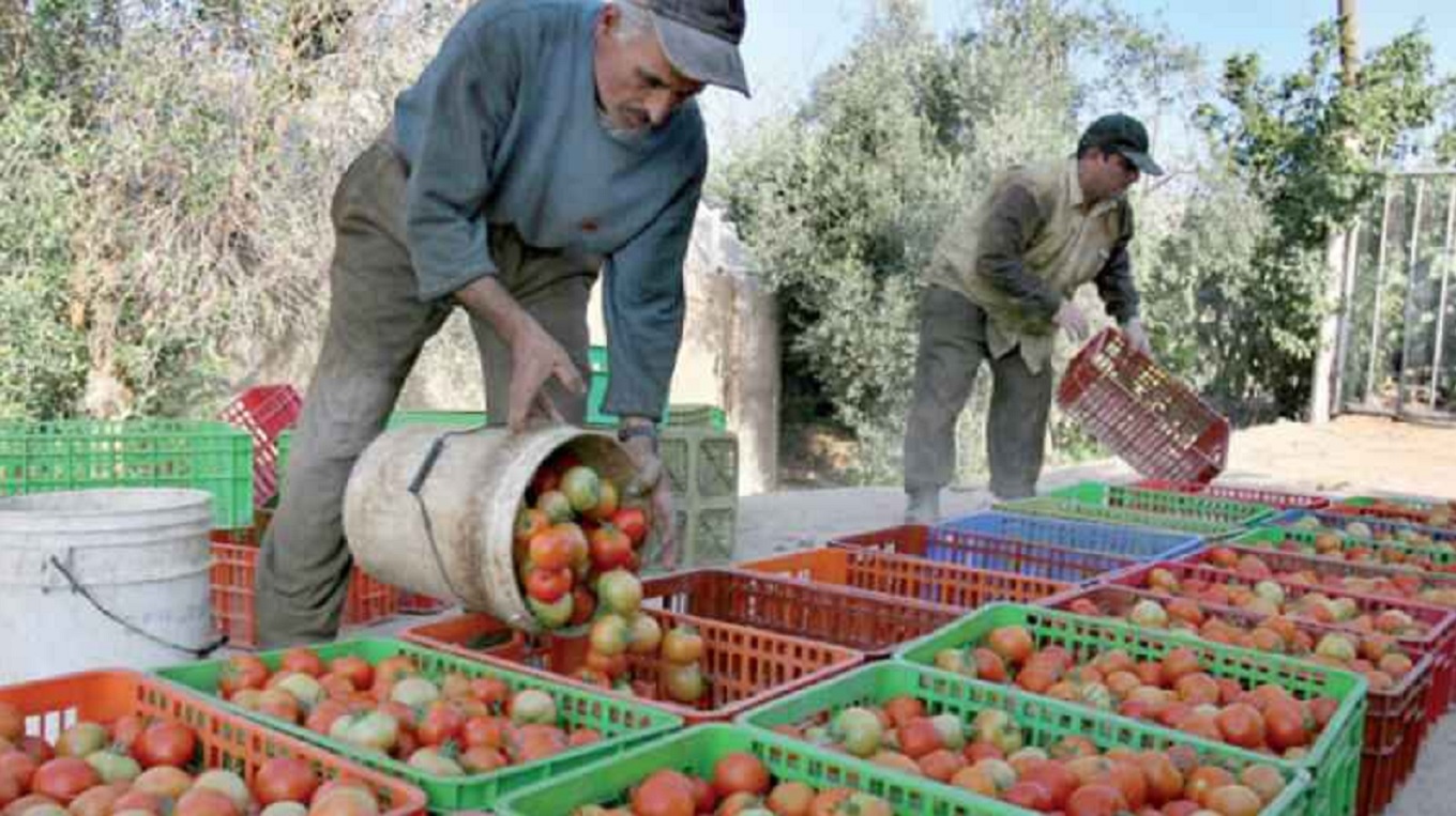 Maroc : L'arrêt des exportations de fruits et légumes vers l'Afrique ...