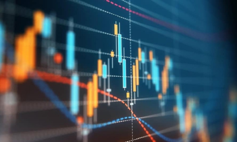 BVMT : répartition des titres de capital 2025