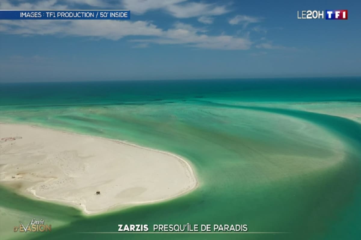 JT 20H sur TF1: un reportage spécial île de Zarzis