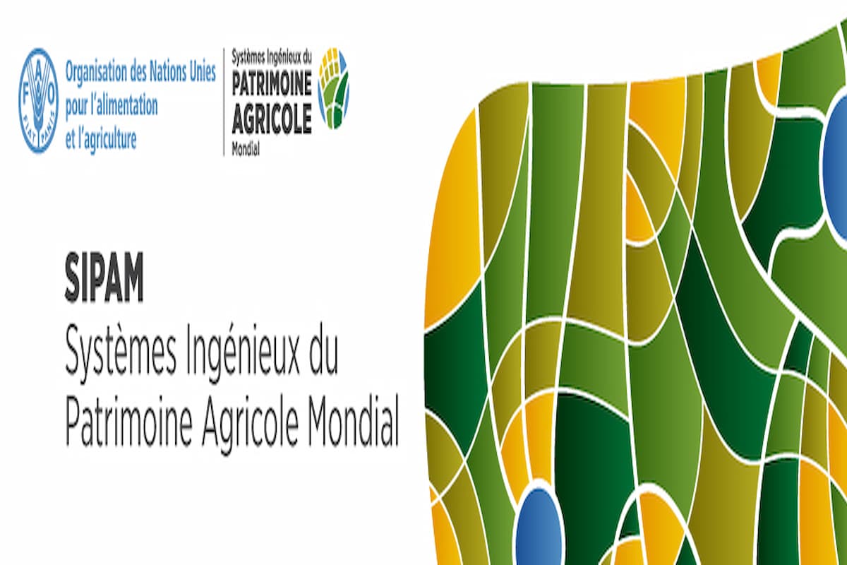 La FAO reconnait Ghar El Melh et Djebbah comme des SIPAM