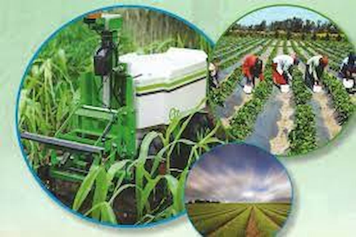 Hammamet va accueillir l'Agrobusiness Medafrica EXPO en novembre