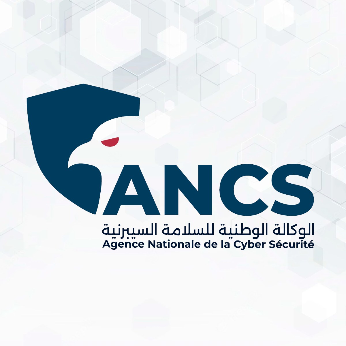 L’Agence nationale de la cybersécurité opérationnelle