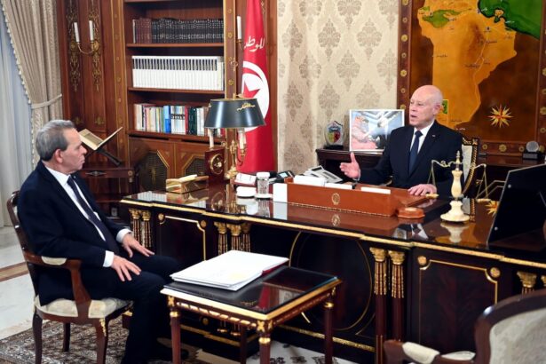 Saïed confie deux dossiers socioéconomiques à Hachani