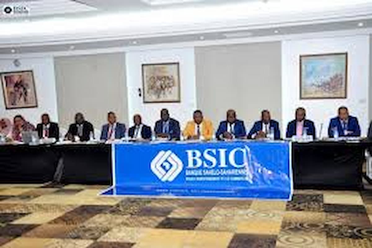 La BSIC a financé 80 entreprises tunisiennes (N. Hdiji)