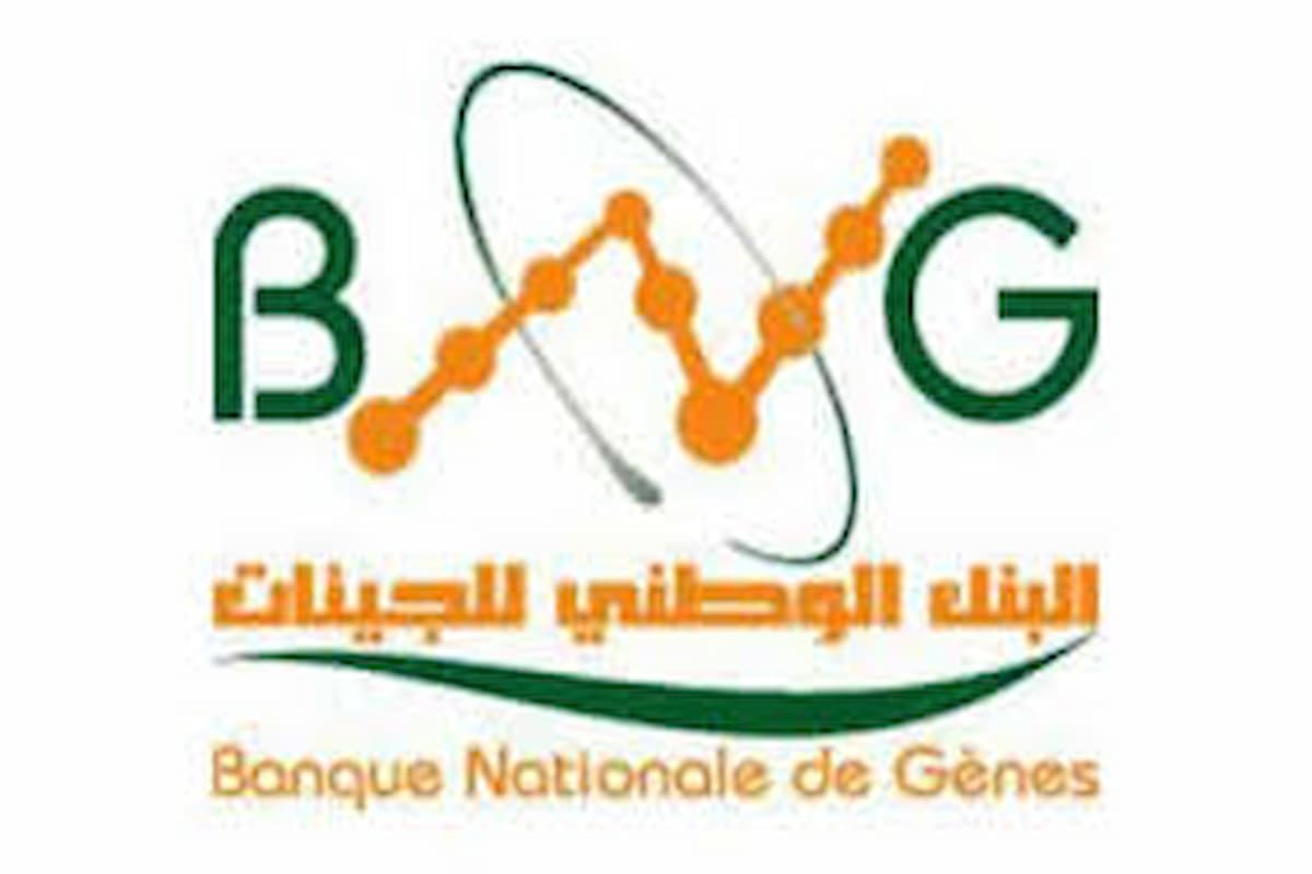 Ramzi Chaâbane n'est plus le DG de la BNG